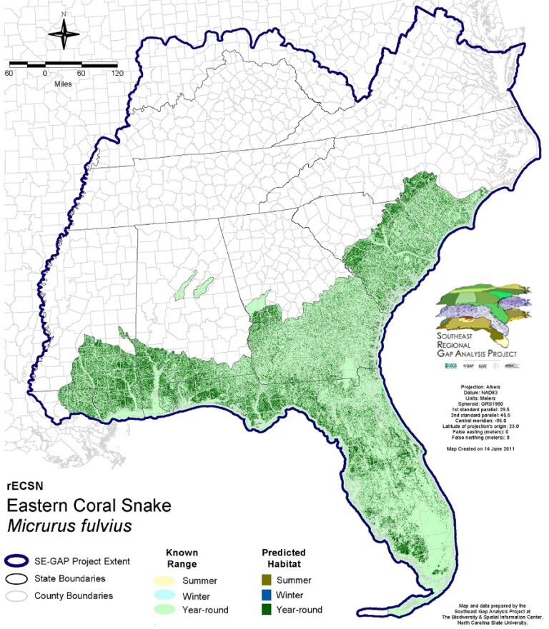 Eastern Coral Snake Facts, Description, Diet, and Pictures